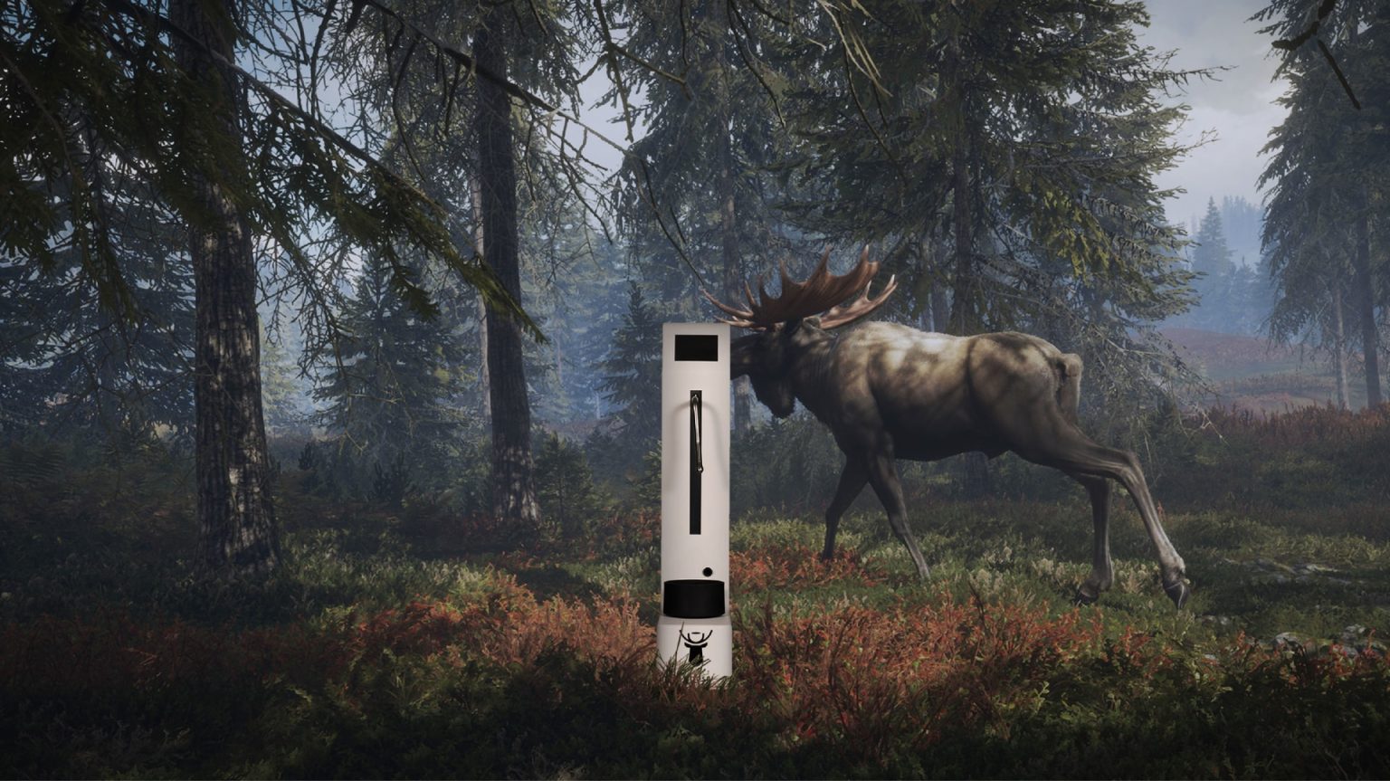 Perfect Moose - Romita